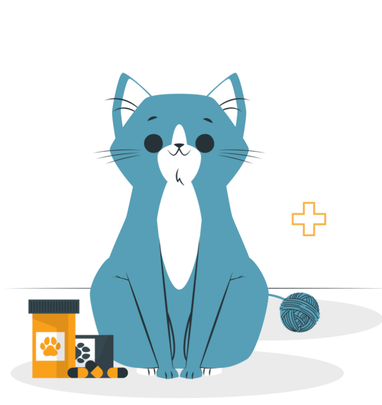 Cat Veterinarian in Davis CA - Cat Tales Feline Health Center